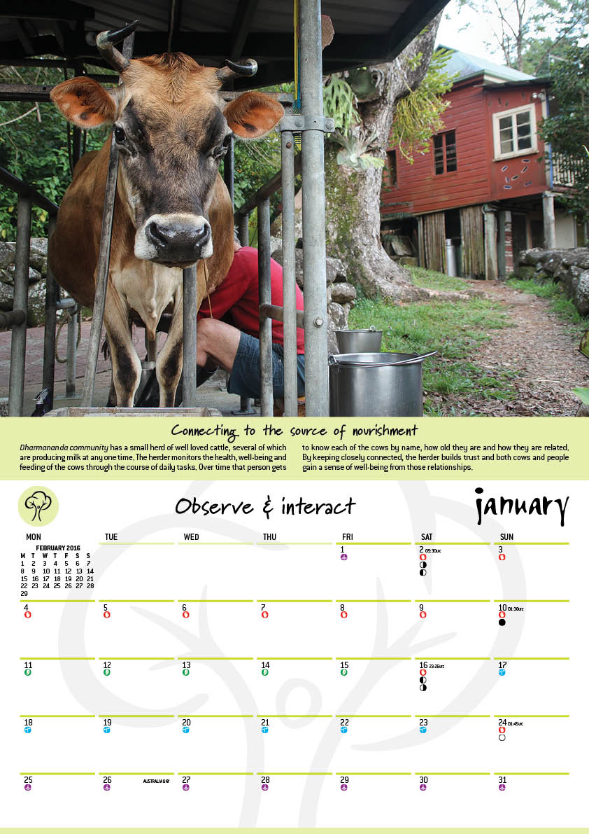 2016 Permaculture Calendar with moon planting guide 2 - Melliodora ...
