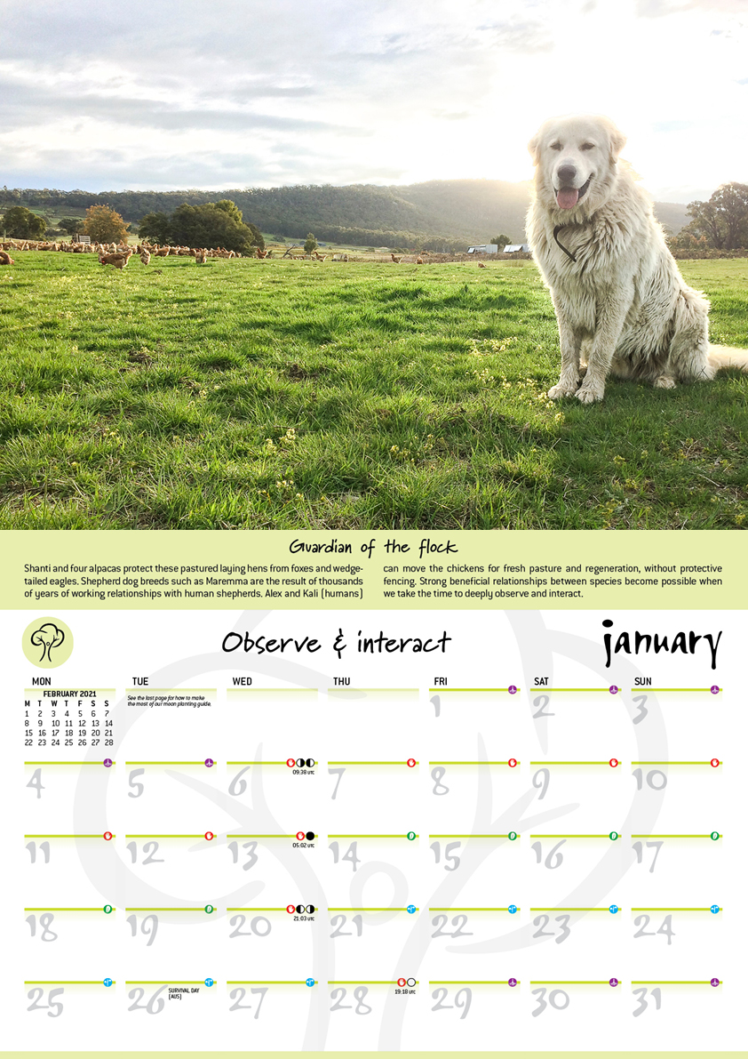 2021 Permaculture Calendar spread - Principle 1 - Melliodora Permaculture