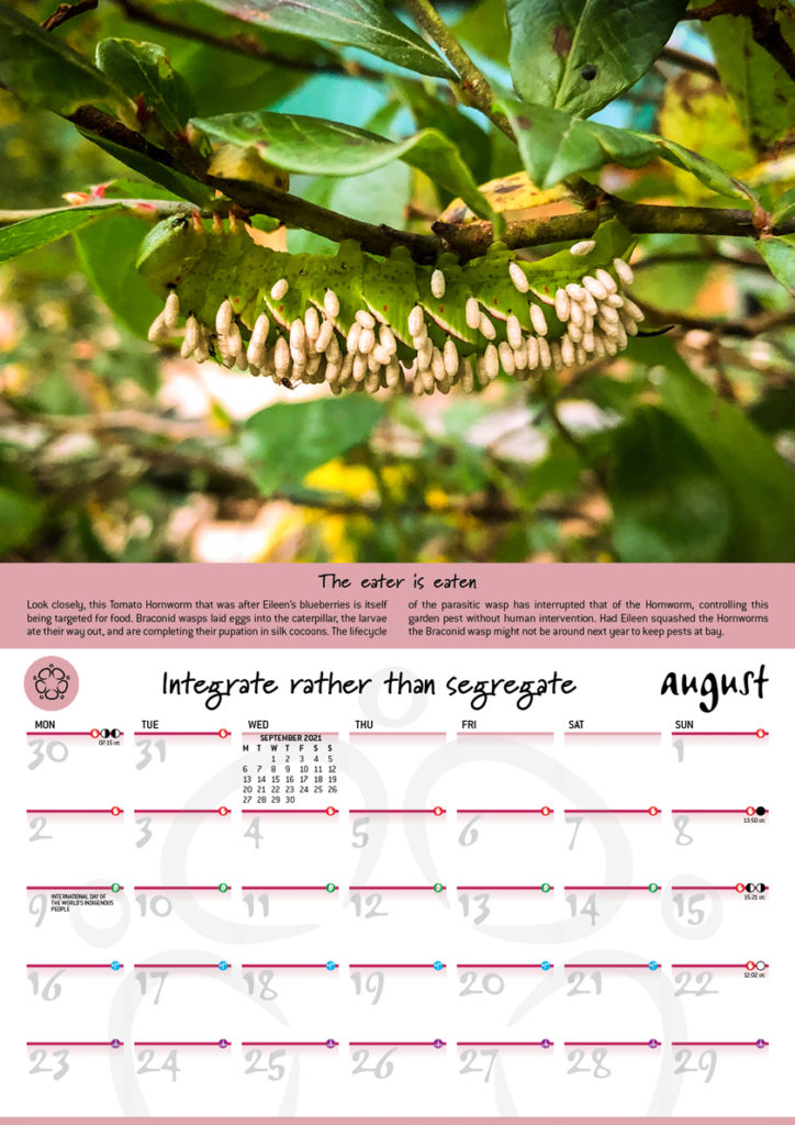 2021 Permaculture Calendar spread - Principle 8 - Melliodora Permaculture
